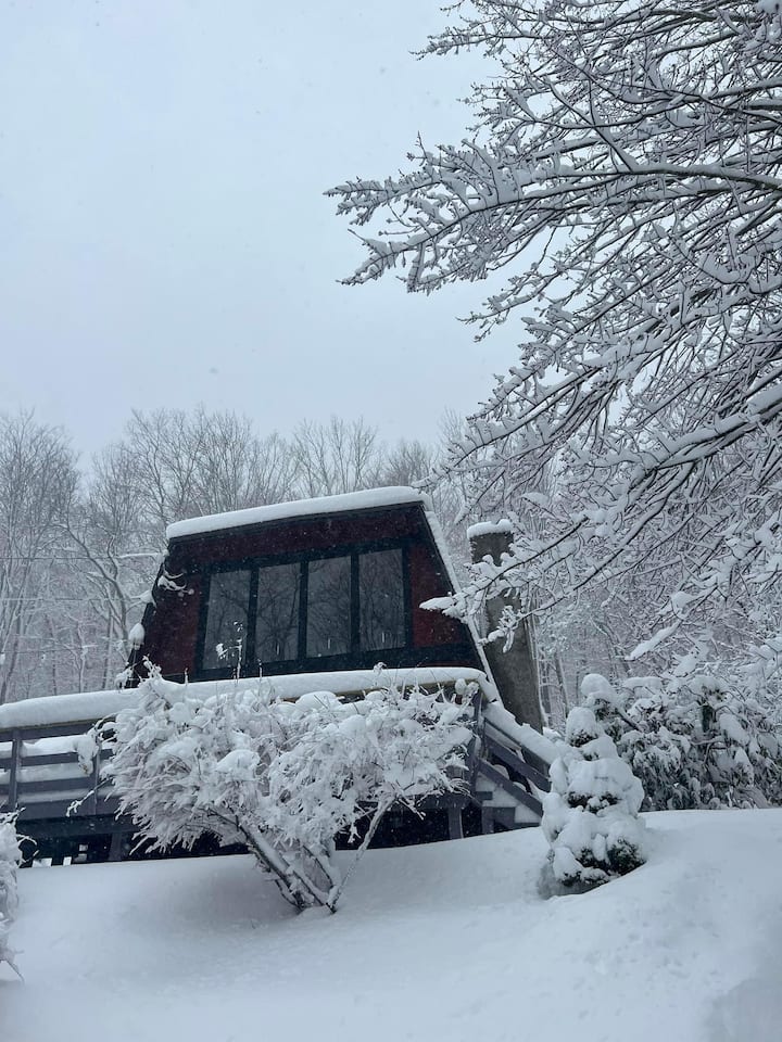 Cozy Mountain Home Walking Distance To Ski Hunter - Hunter Mountain, NY