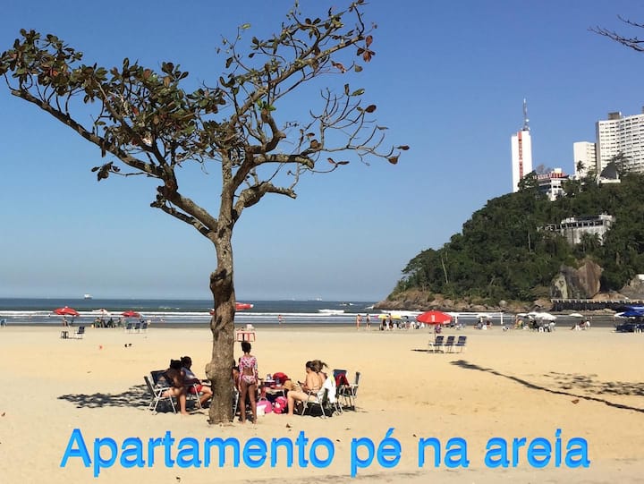 Sossego? Em Frente Ao Mar, Conforto, Wi-fi 250 Mb - Santos