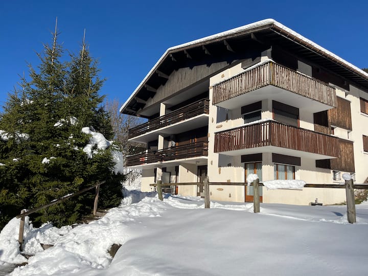 100m Des Pistes, Rénové Et Avec Vue Sur Le Massif… - Lac des Confins