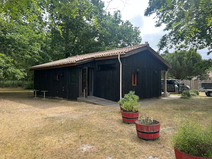 Chalet Bois Sur Parc Arboré à 10min De L’océan - Vendays-Montalivet