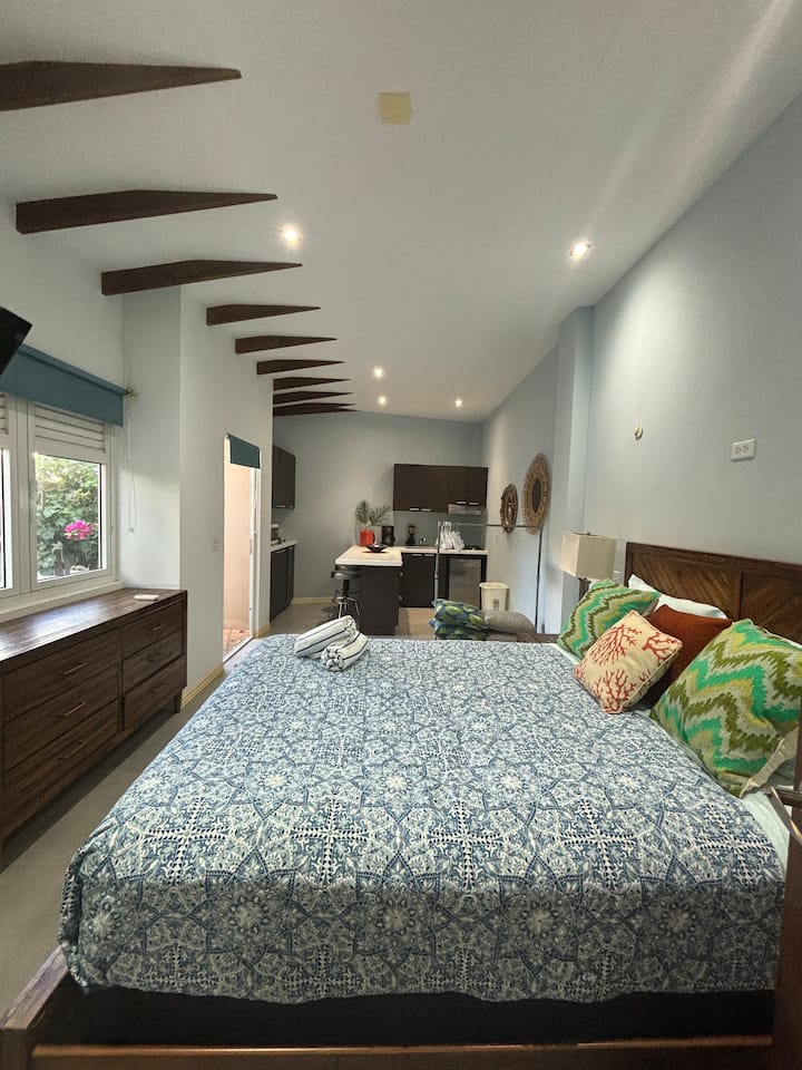 Lux Studio Apartment 5 Min Driving To The Beach - Aruba