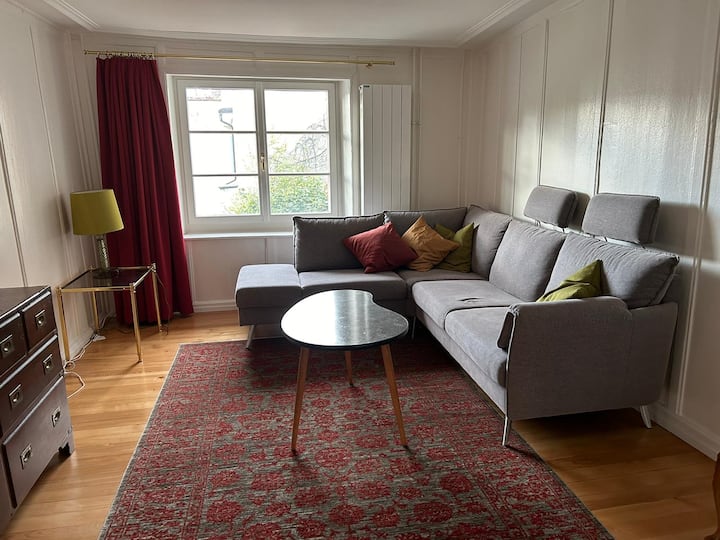 Historical Apartment In The City Center (1504) - Lörrach