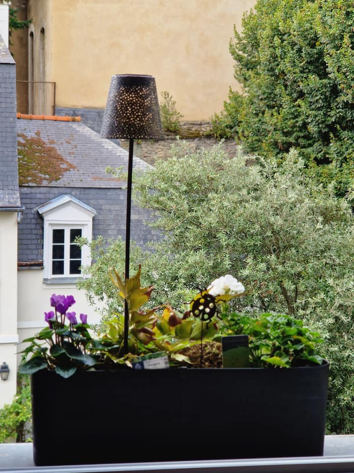 Charmant T2 Centre Ville Avec Parking Privé - Rennes