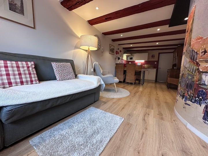 B'm Yerri - Appartement 2 Pers - Vue Cathédrale - Colmar