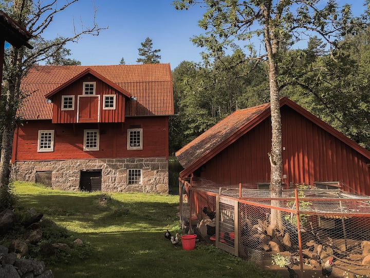 Historisk Kvarngård I Kvissle Naturreservat - Suecia