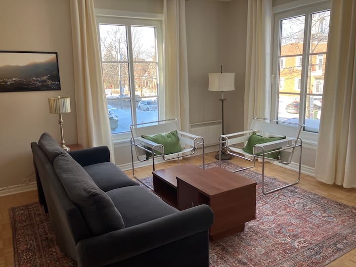 Lumineux Adapté Au Travail Et La Détente - Brossard