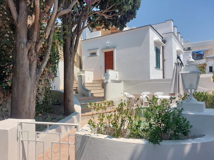 Historic Villa With Garden And Sea View - Capri