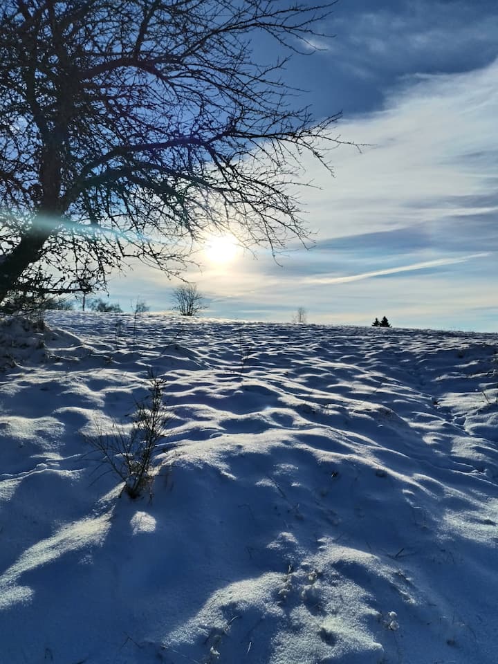 Chalet Piscine 4 Pers Vosges Disponibilités Noël - Remiremont