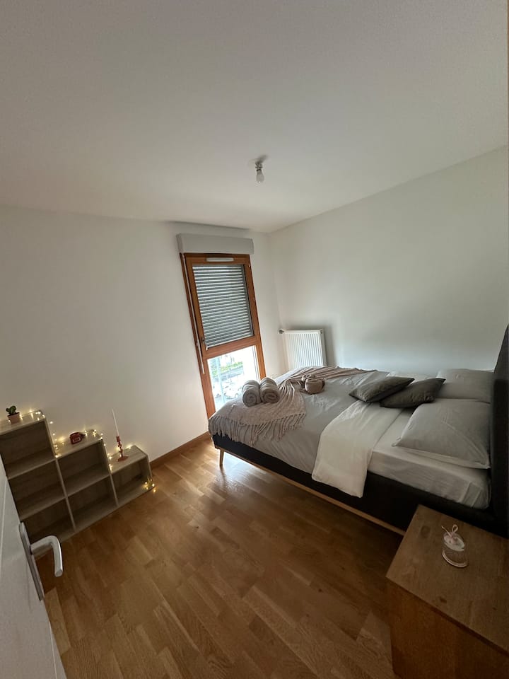 Chambre Privée Dans Un Très Bel Appartement - Lyon