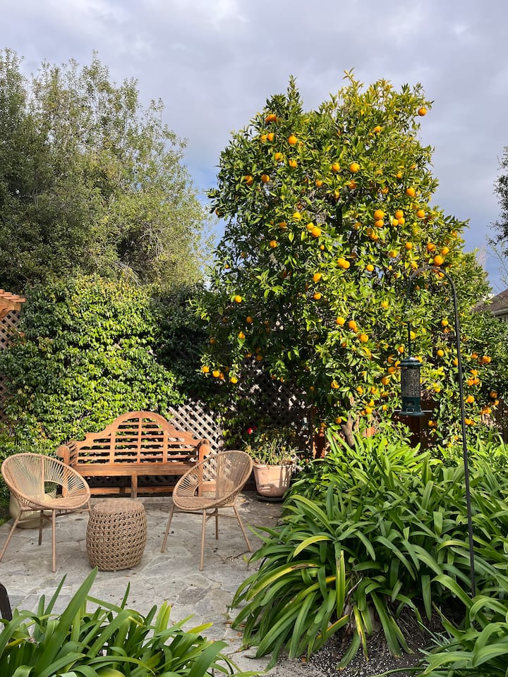 Stanford Campus Jewel - Palo Alto, CA