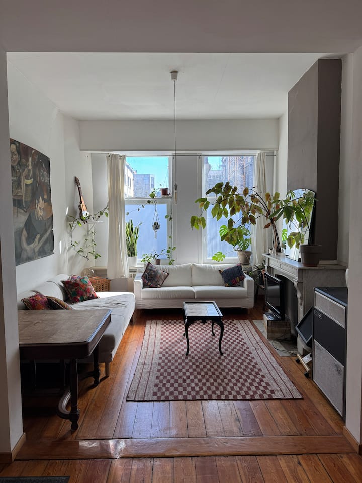 Spacious Apartment At Antwerpen City Center - Antwerp