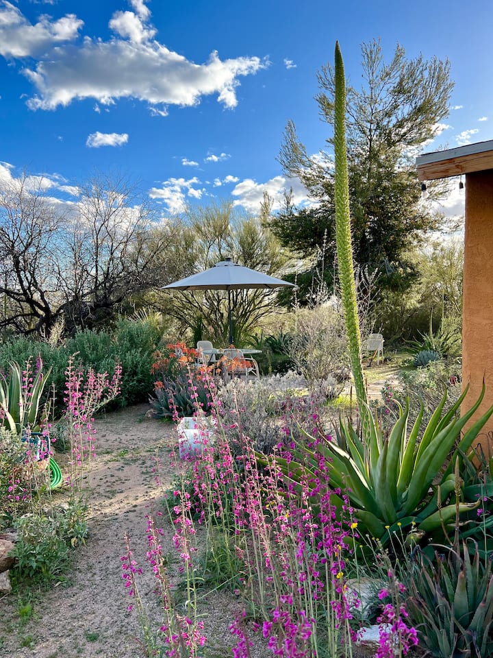Casita Miraflores: Comfort In The Heart Of Sonora - Oro Valley, AZ