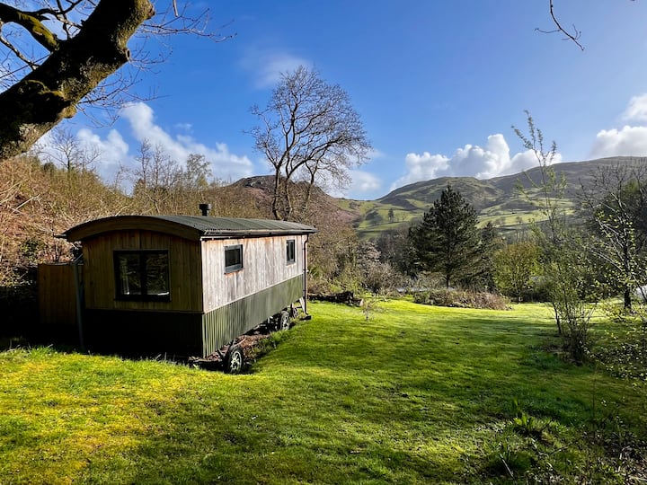 Romantic Artisan Eco-wagon & Stove. Artist Valley - Machynlleth