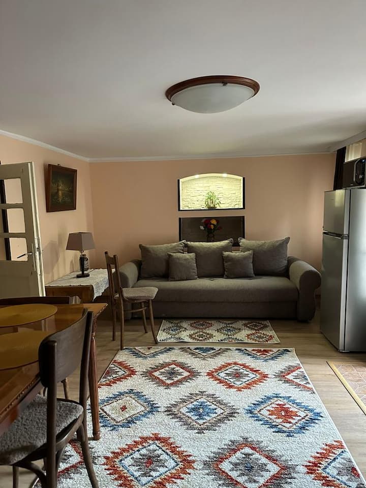 Apartament Sinaia - Sinaia