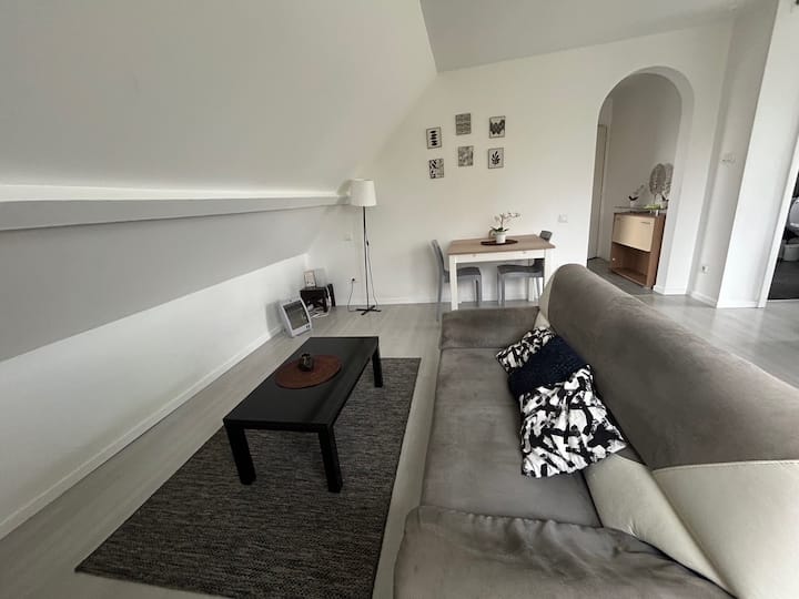 Joli Studio Brumath Vue Plan D'eau - Brumath