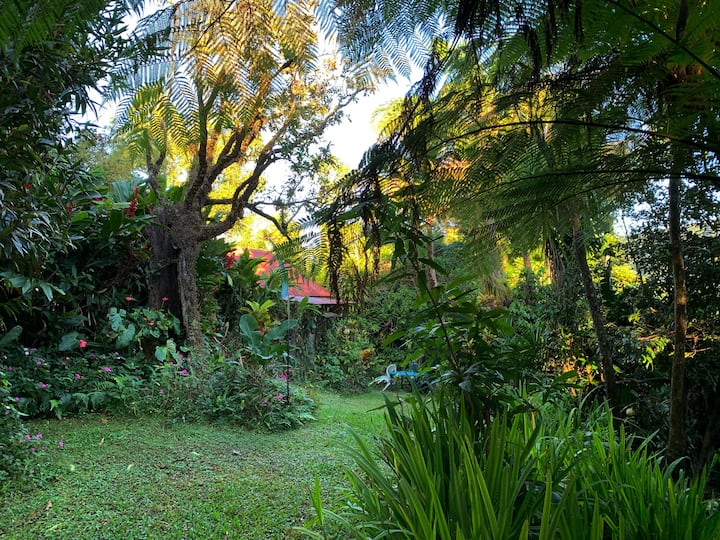 La Petite Maison Dans Les éToiles - Guadeloupe