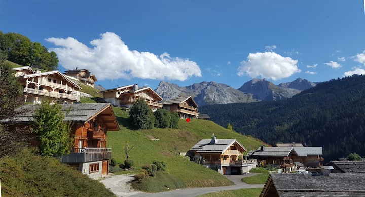 Grand Standing , 75m2 Le Grand Bornand   6 Pers. - France