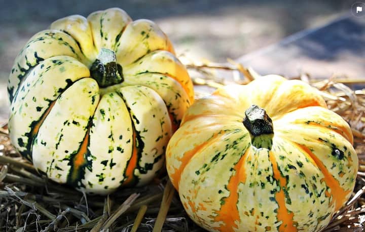 Beautiful Home*central Location* Big Backyard - Riverside, CA