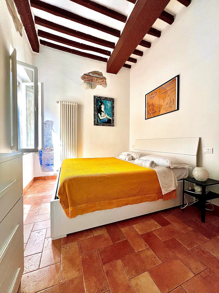 La Casa Del Vicolo Torto - Pisa
