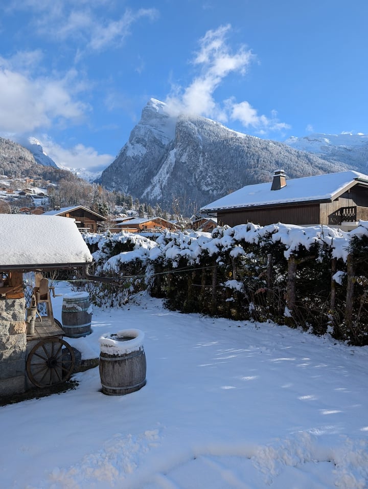 Charmant T2 Proche Du Centre Village De Samoens - Samoëns