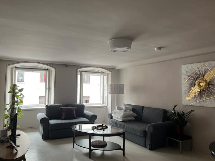 Stylish 4th-floor Apartment In Vienna’s Heart - Viena