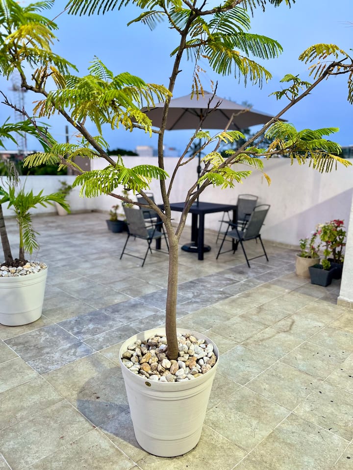 Miniloft 4 +2 Camas+café La Parroquia+boulevard - Heroica Veracruz