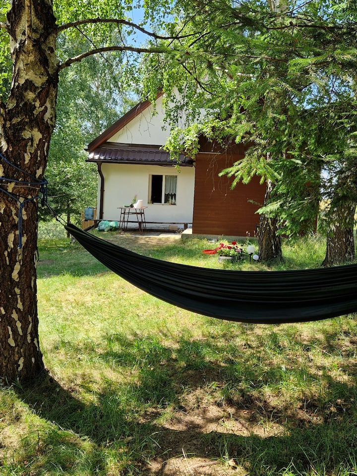 Blidarei-transilvanian Haven Gura-râului, Păltiniș - Orlat