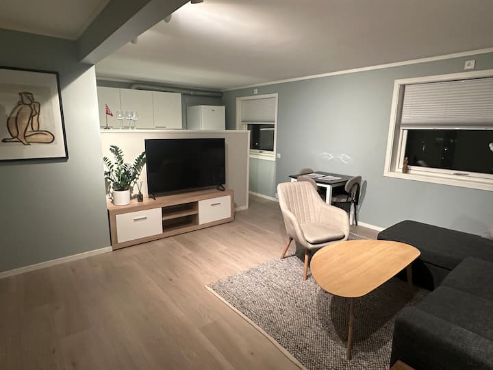 Moderne Leilighet - Ski-in/ski-out - Nordlys - Norrbottens län