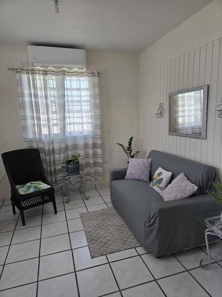 Cozy Fully Equipped Two Bedroom Home - Ponce