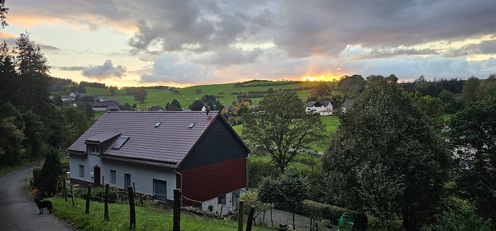 Ferienhaus Waldglück - Burg-Reuland