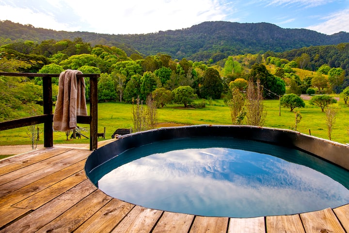 Hillview Dairy- A Warm Welcome!
Highland Farm Cows - Australia