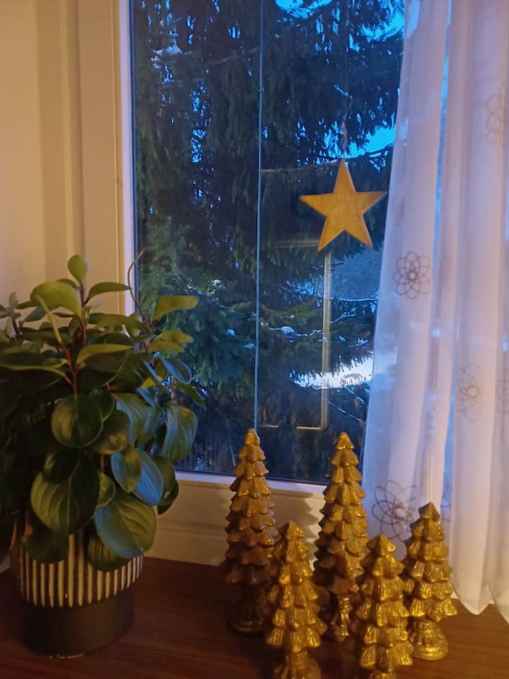 Rindlereck - Bruneck