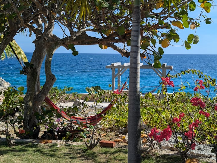 Little Waters On The Cliff - Simply Exceptional - Negril
