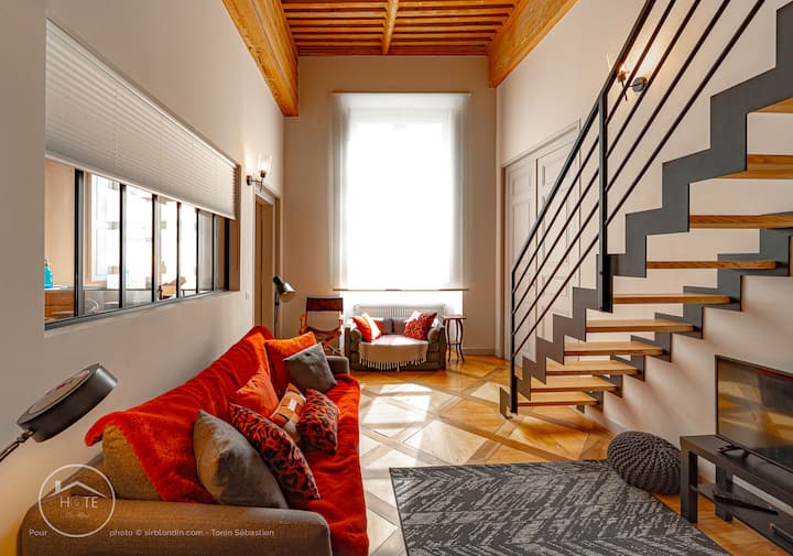 Loft Du Théâtre Proche Fontaine Des ÉLéphants - ibis Chambery