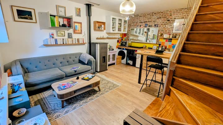 Charmante Maison De Courée, Face Au Parc Tudor - Lille