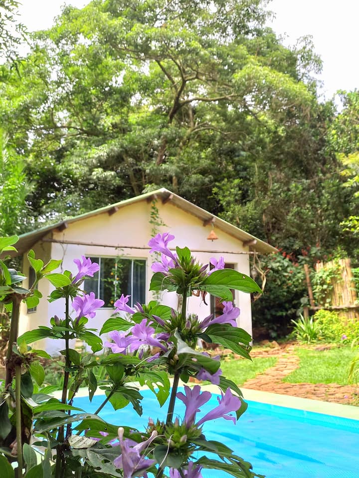 A Sua Suíte Com Piscina Em Forma De Casa - Mato Grosso (estado)