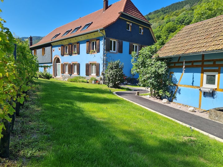 Gite 4* "La Maison Bleue" - Sainte-Marie-aux-Mines