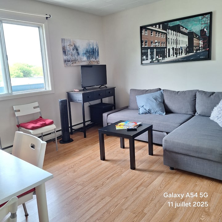 Hull-wrightville Apt# 15 Avec Balçon - Ottawa