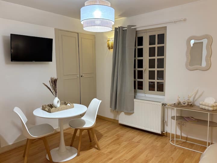 Logement Charmant Et Cosy En Plein Centre - Auxerre