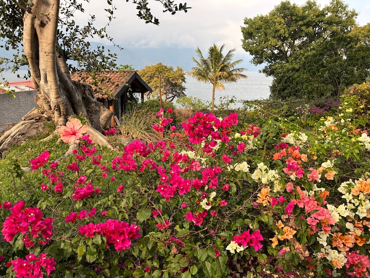 La Casetta Nel Giardino - 