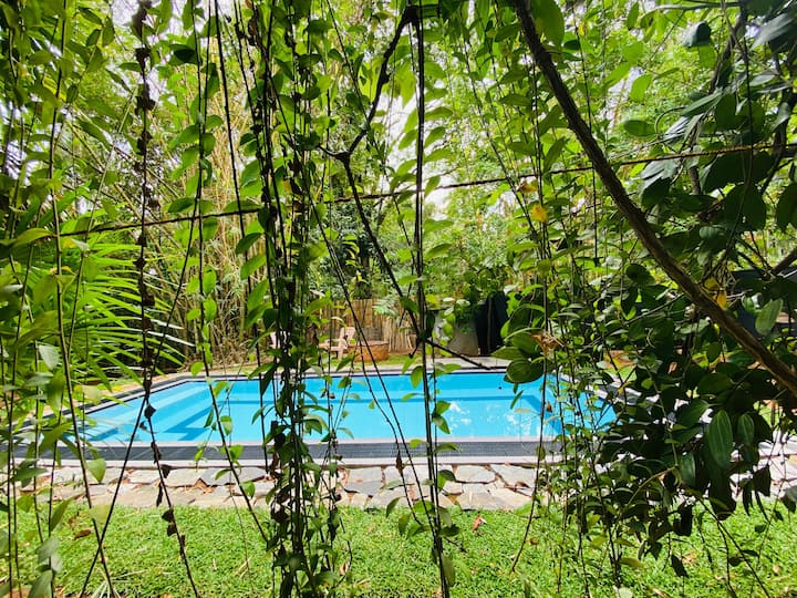 Green Park Safari House (1 Double Ac Room ) - Sri Lanka