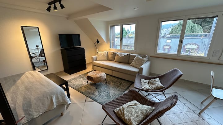 Brandnew Studio With Amazing Views To The City - Zürich