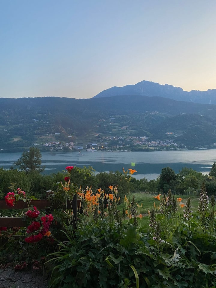 Apartament Harmony-ischia-lago Di Caldonazzo - Levico Terme