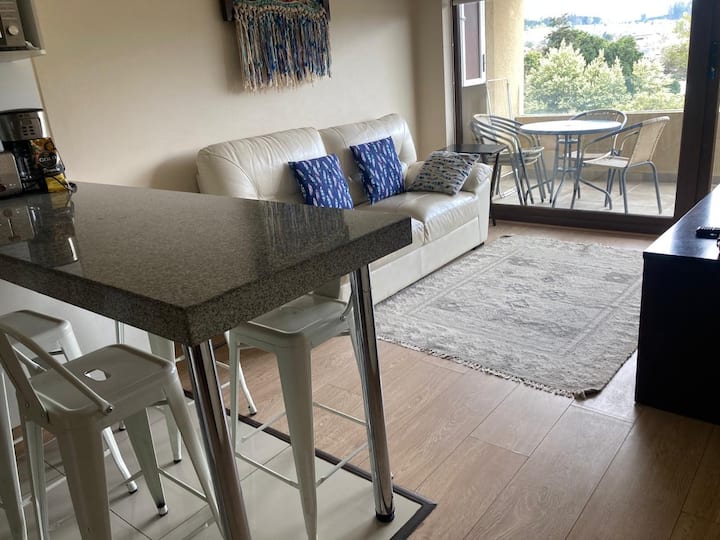 Depto Junto Al Lago En Avenida Costanera - Villarrica