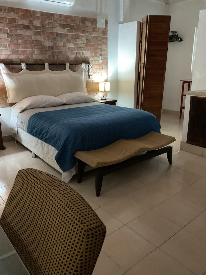Filemón Apartment! (^@^) - Puerto Vallarta