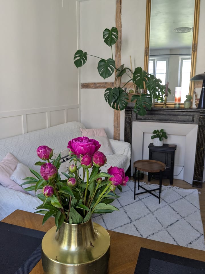 Appartement 42m2 Dans Le Quartier Du Neudorf - Estrasburgo