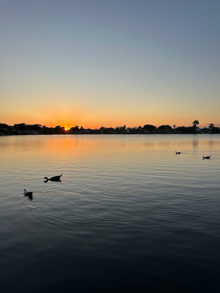 Spectacular Lake Home- Casino, Beach,95, Las Olas - Dania Beach, FL