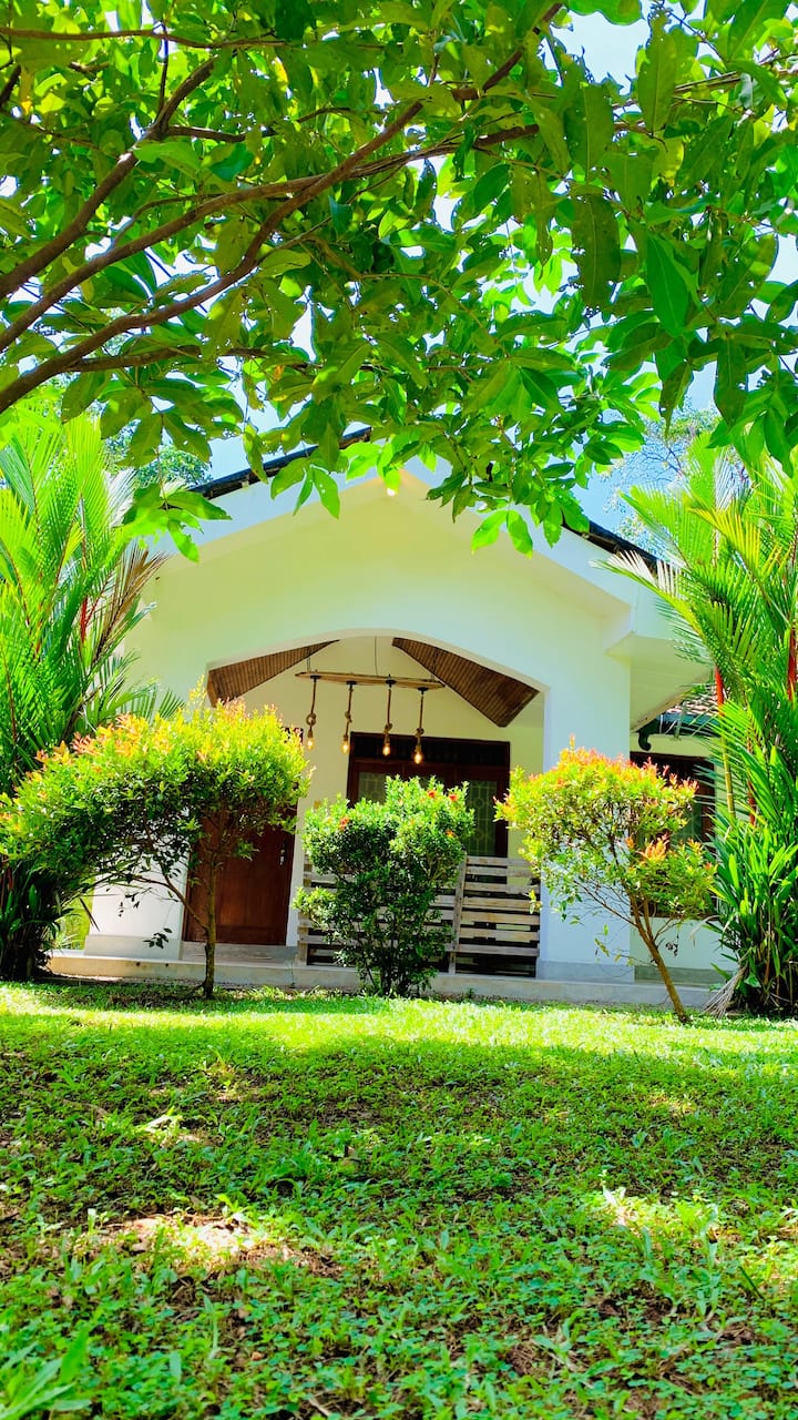 Cocos Hikkaduwa - Hikkaduwa