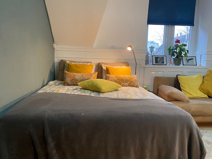 Big And Comfortable Bedroom In Central Zurich - Zurich