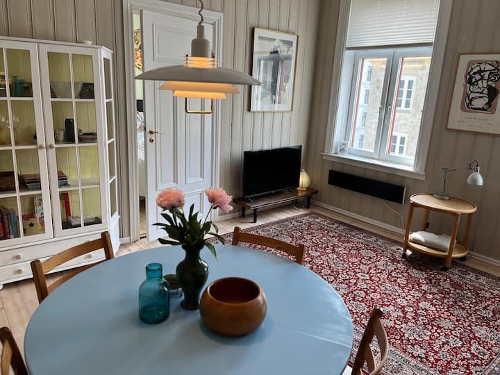 Hjemmekoselig Og Sentral Leilighet Med Peis - Oslo